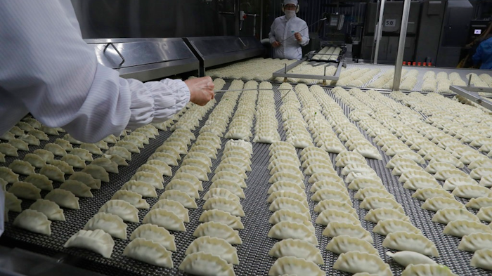 Dumplings Go Global With Automation | Design and Development Today