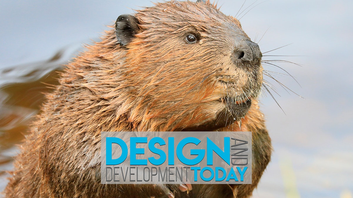 Beavers Bite Off Millions in Damage in the Netherlands | Design and ...